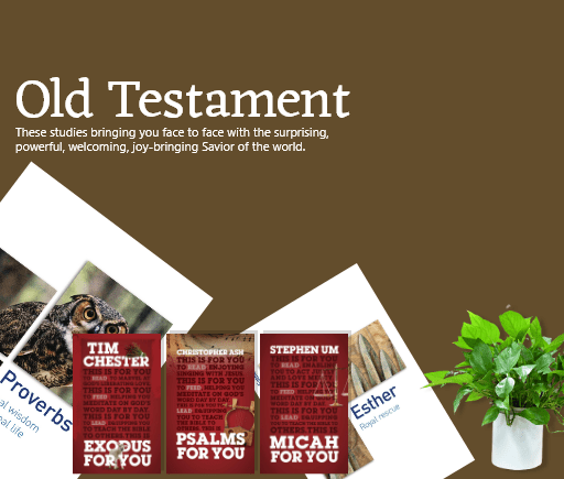 Old Testament – For the Truth